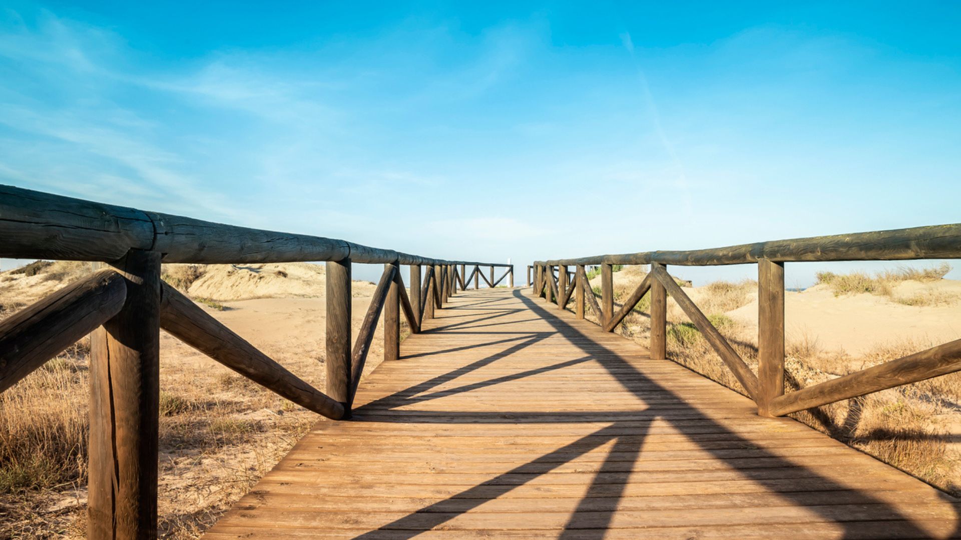 The beaches of Guardamar del Segura are hugely appealing