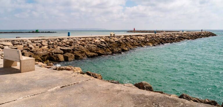 La desembocadura del Segura: un paraíso natural por descubrir